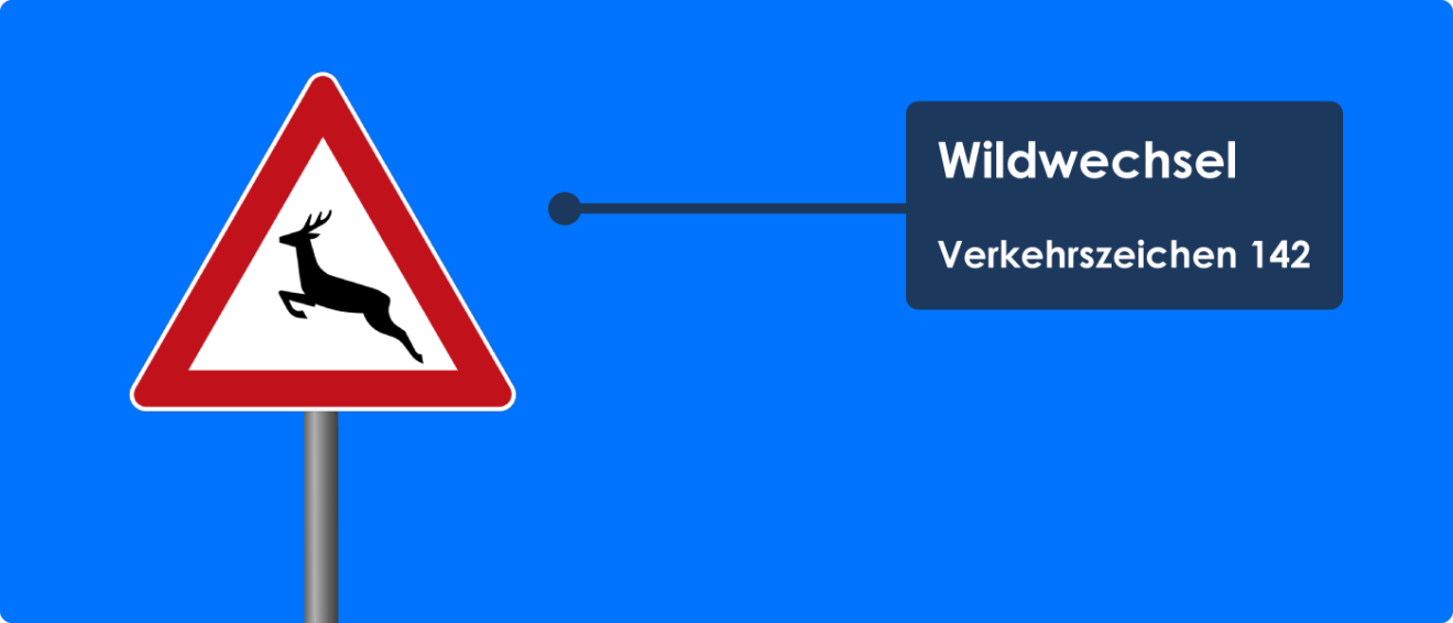 Gefahrzeichen Wildwechsel aufstellen: Diese 7 Punkte musst du beachten – stvo2Go
