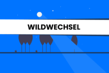 Gefahrzeichen Wildwechsel aufstellen: Diese 7 Punkte musst du beachten ...